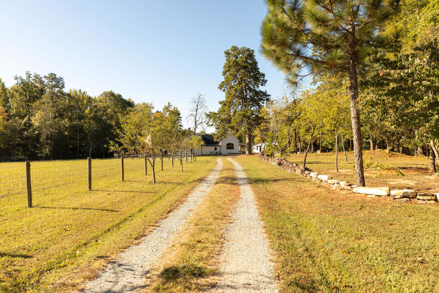 Trinity Design/Build